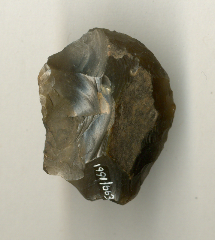 Stone Age Hackney: The Neanderthals - Hackney Museum