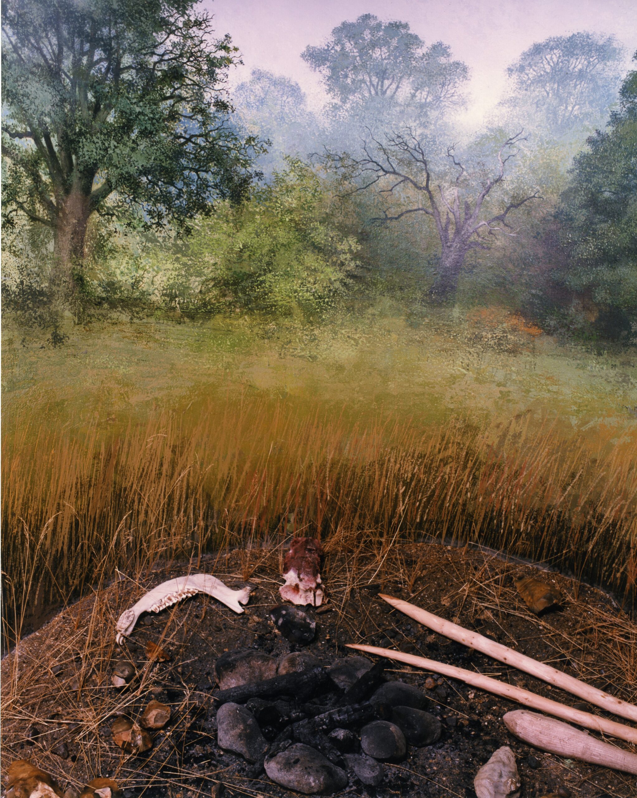 Stone Age Hackney: 300,000 BC - Hackney Museum