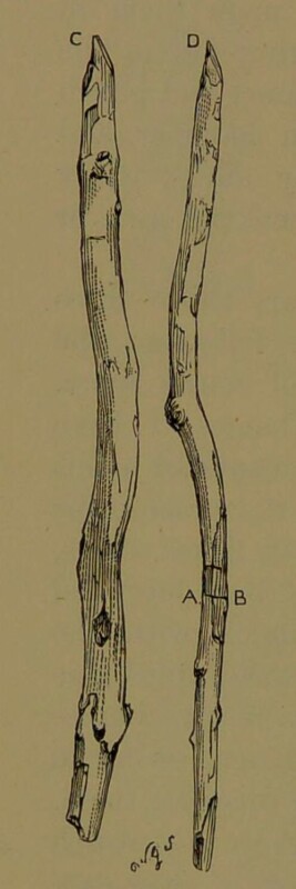 Stone Age Hackney: 300,000 BC - Hackney Museum